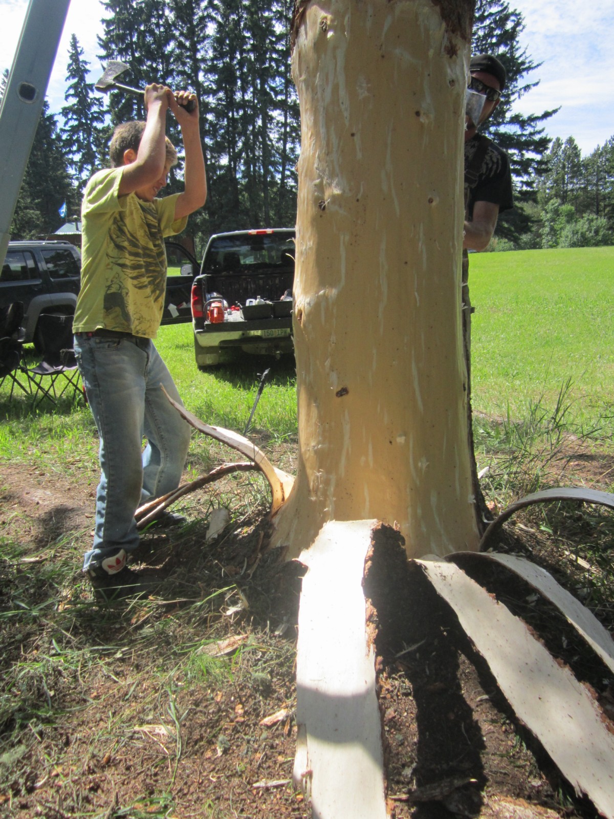 Leah Dorion Gallery 2012